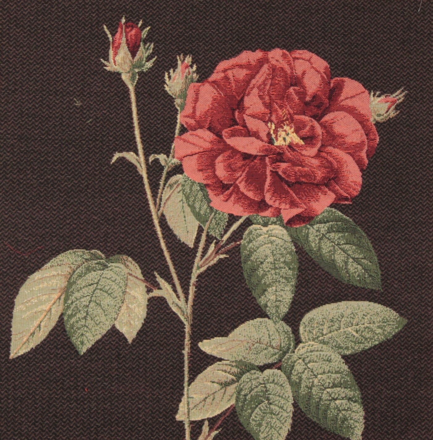 Rød rose 45x45 cm - Gobelin | Stofmøllen
